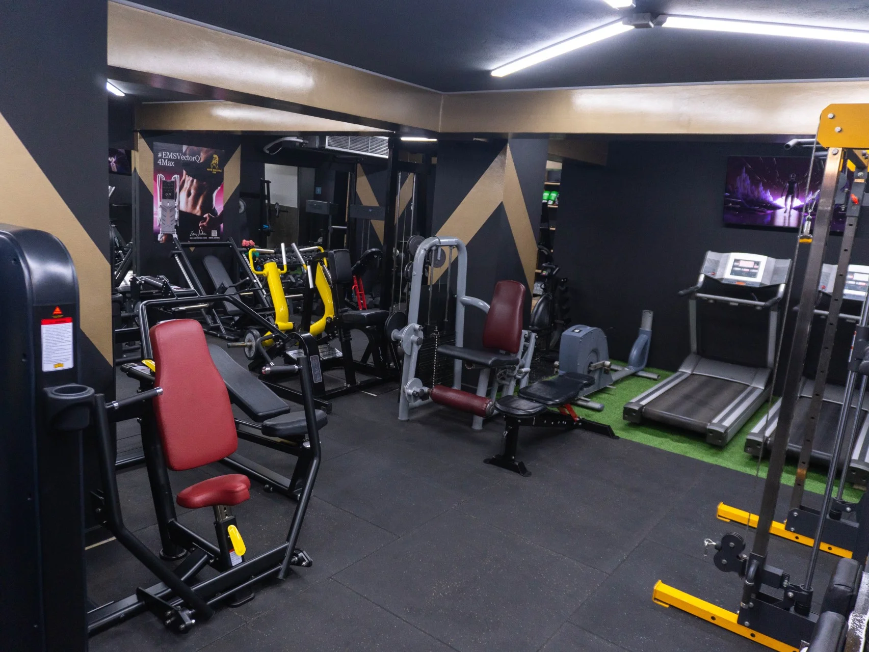 Greek Warriors Gym – Personal Training | Αχαρνές